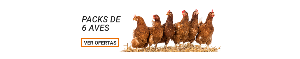 Packs de 6 Aves